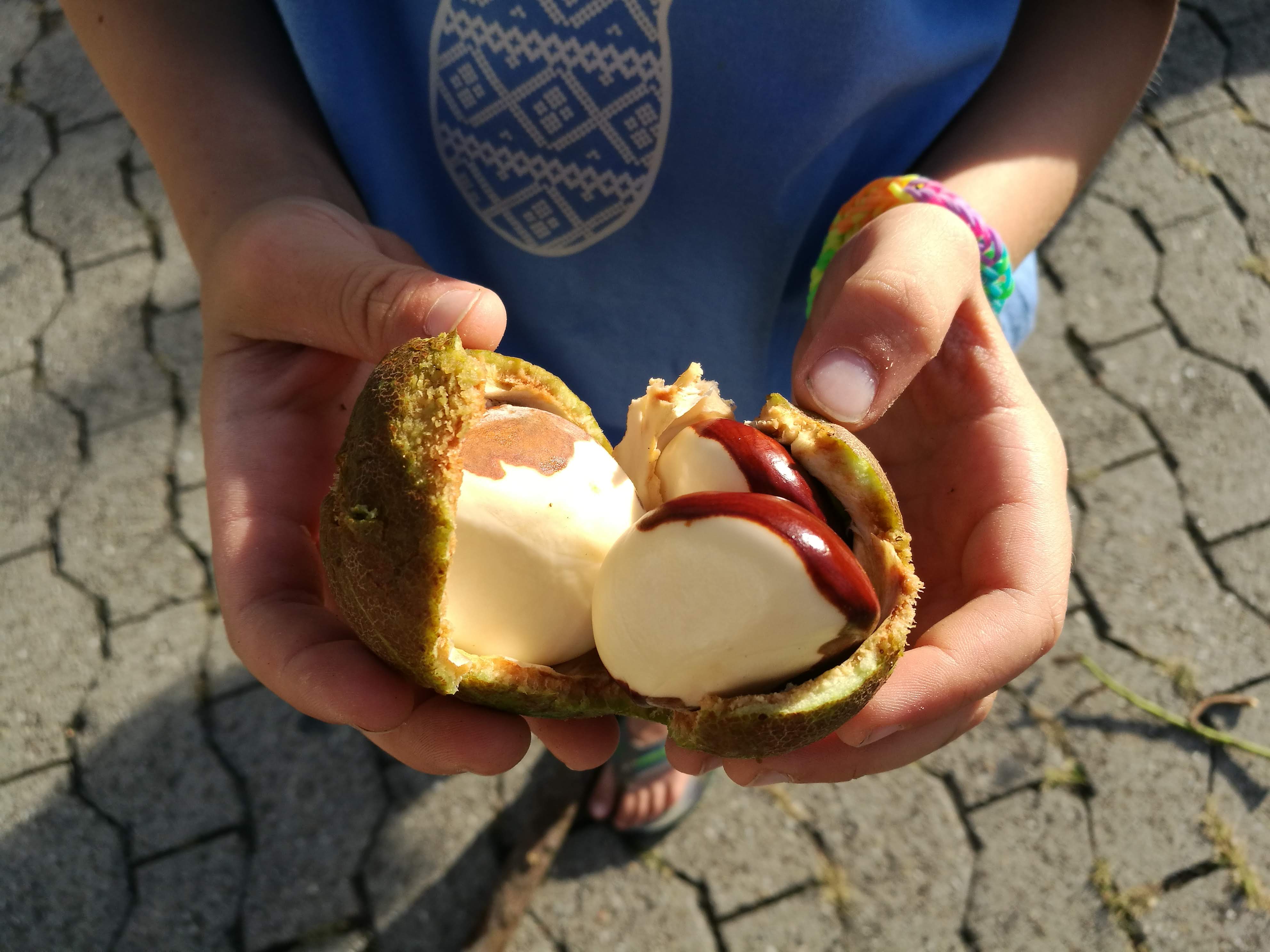 cof – English Through Play